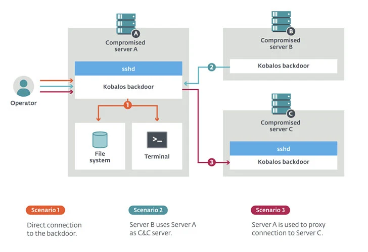 A New Linux Malware Targeting High-Performance Computing Clusters