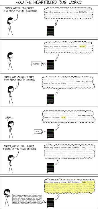 HeartBleed Bug Explained - 10 Most Frequently Asked Questions