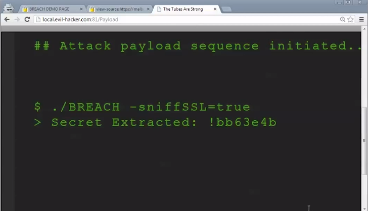 BREACH decodes HTTPS encrypted data in 30 seconds