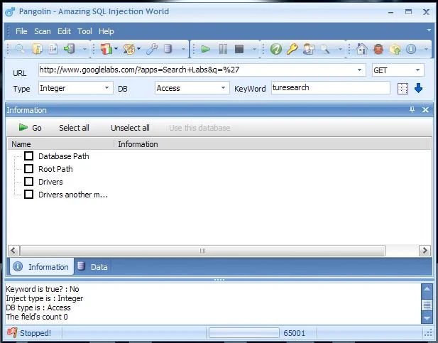 SQL Injection Vulnerability in Google Lab Database System