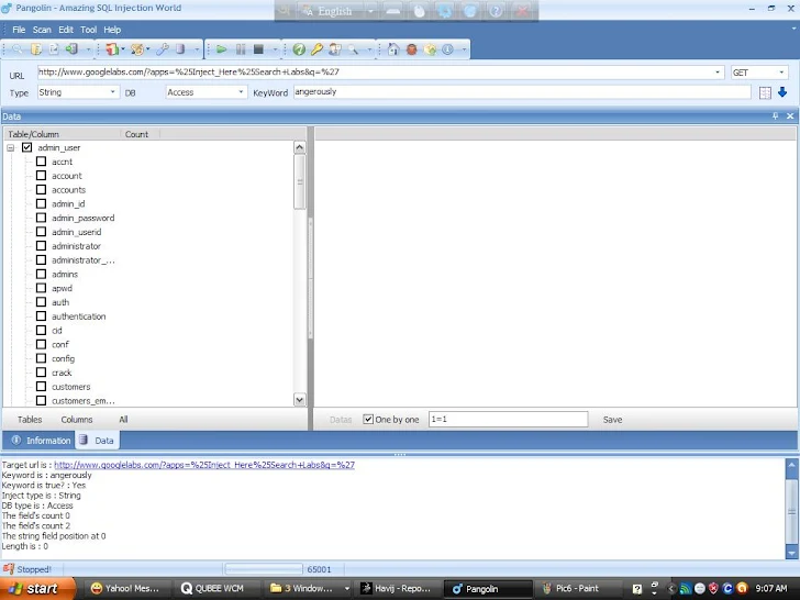 SQL Injection Vulnerability in Google Lab Database System